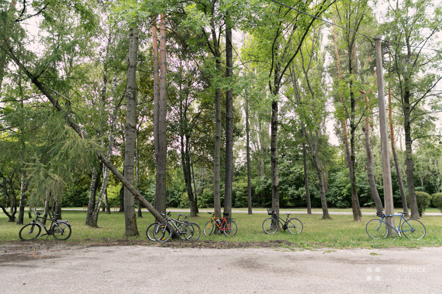 Urban Talk Anička: Park Anička ako úkryt pred vlnami horúčav (2. časť ...